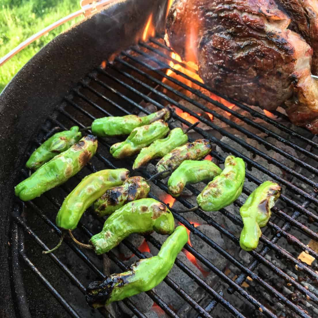 Grilled Shishito Peppers - DadCooksDinner
