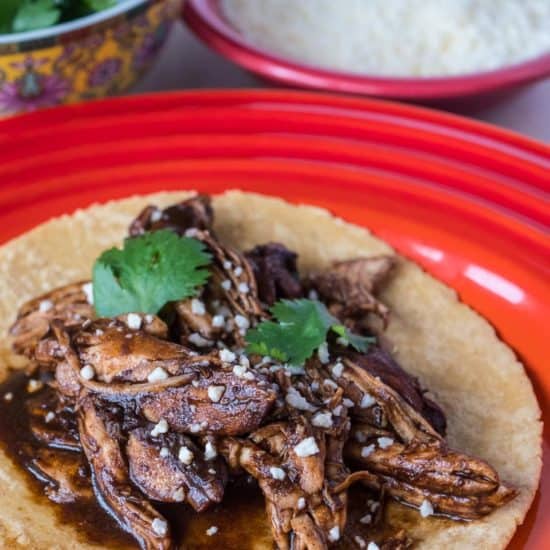 Pressure Cooker Shredded Chicken in Black Mole Sauce - DadCooksDinner