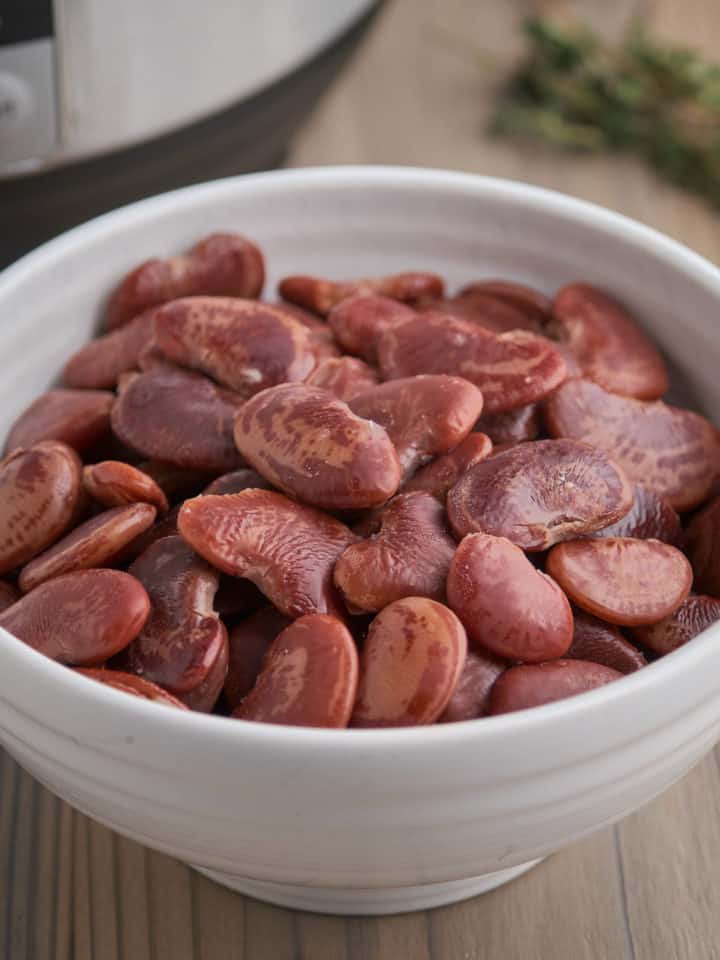Instant Pot Bean Recipes - DadCooksDinner
