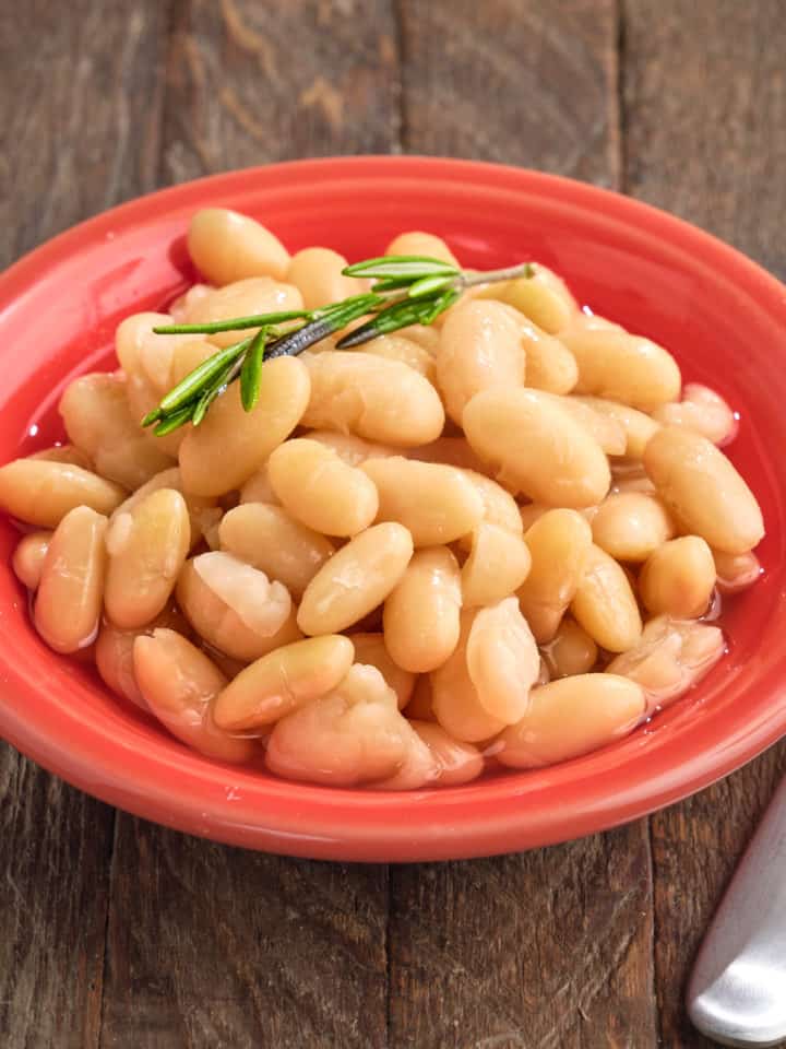 Instant Pot Mayocoba Beans (No Soaking) - DadCooksDinner