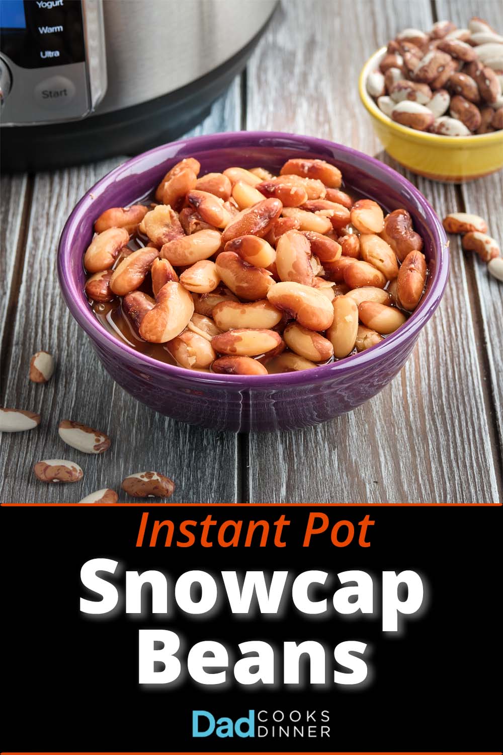 Instant Pot Snowcap Beans - DadCooksDinner